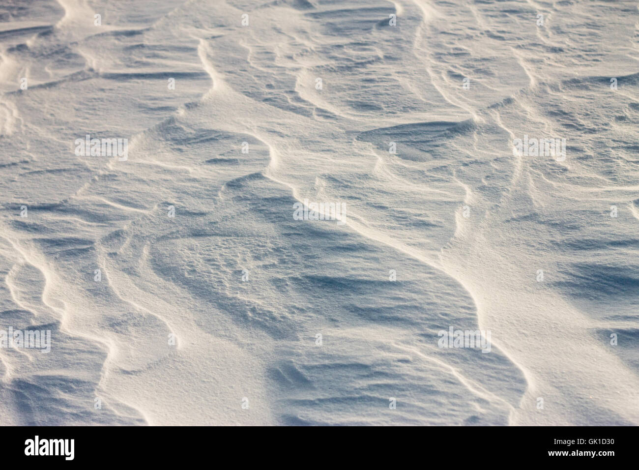 background snow waves at sunset by wind Stock Photo - Alamy