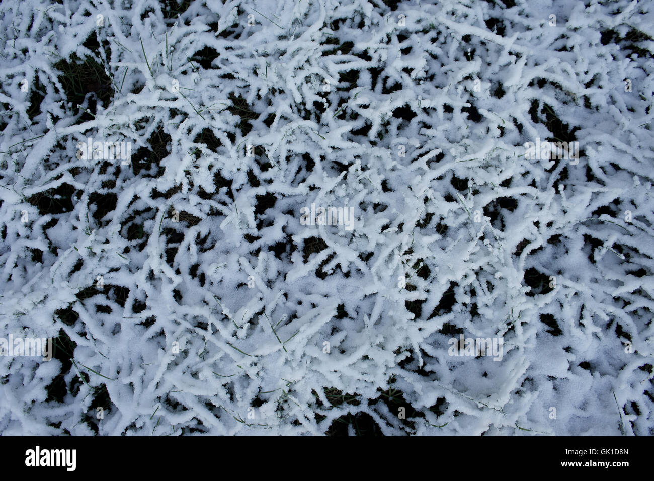 Sub Zero Stock Photos & Sub Zero Stock Images - Alamy