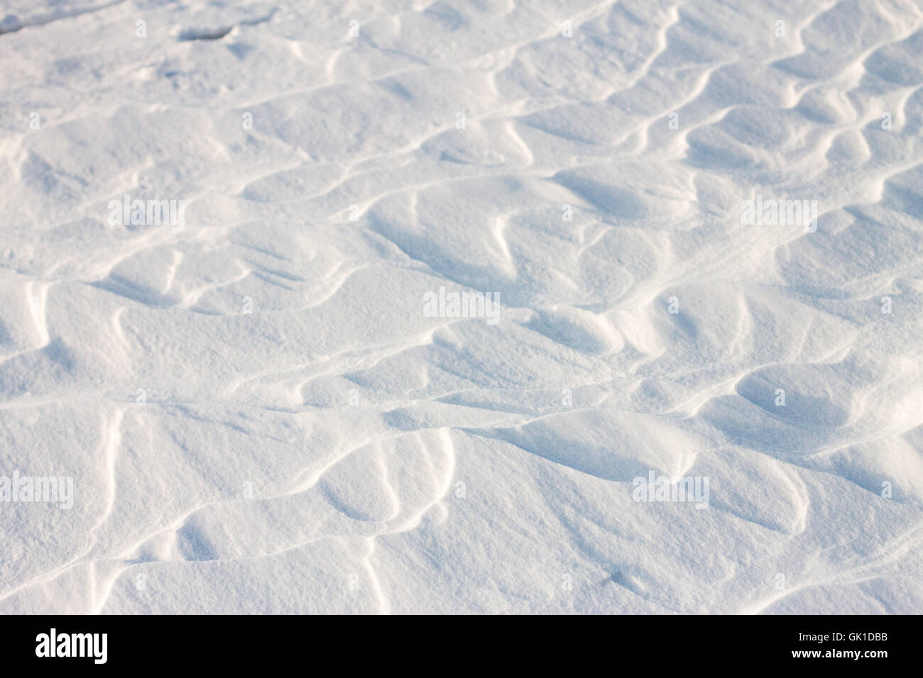 background snow waves at sunset by wind Stock Photo - Alamy
