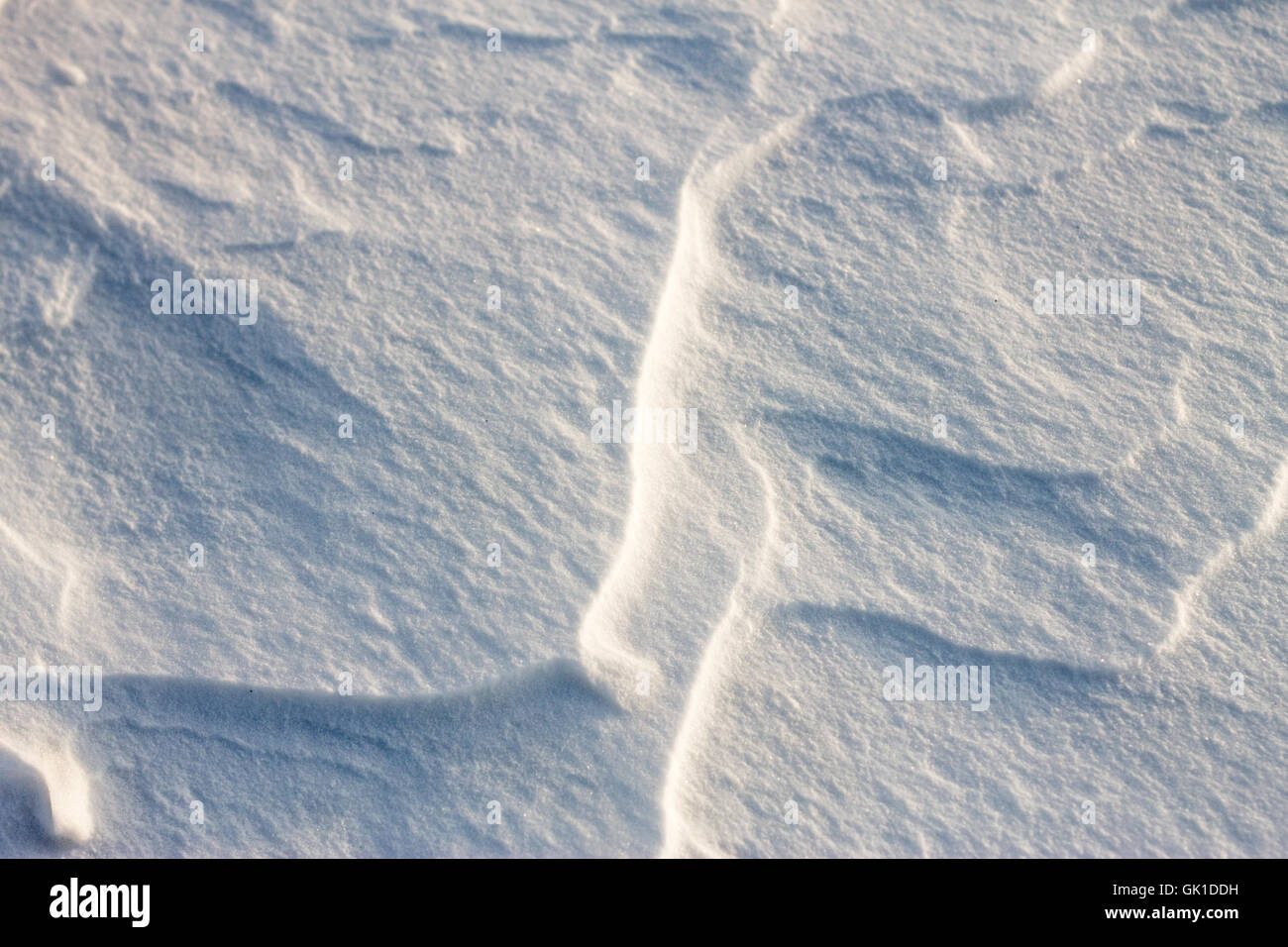 background snow waves at sunset by wind Stock Photo - Alamy