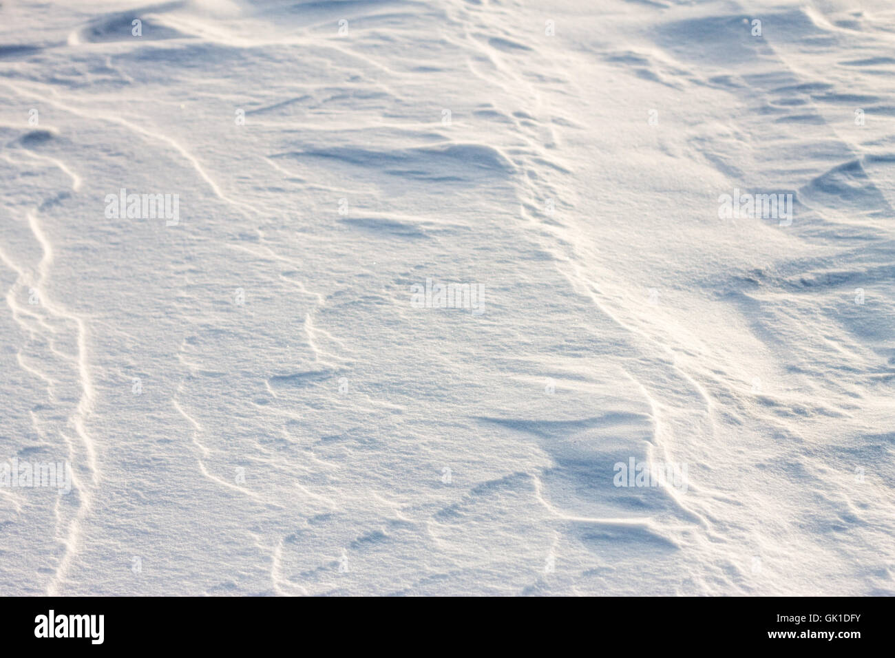 background snow waves at sunset by wind Stock Photo - Alamy