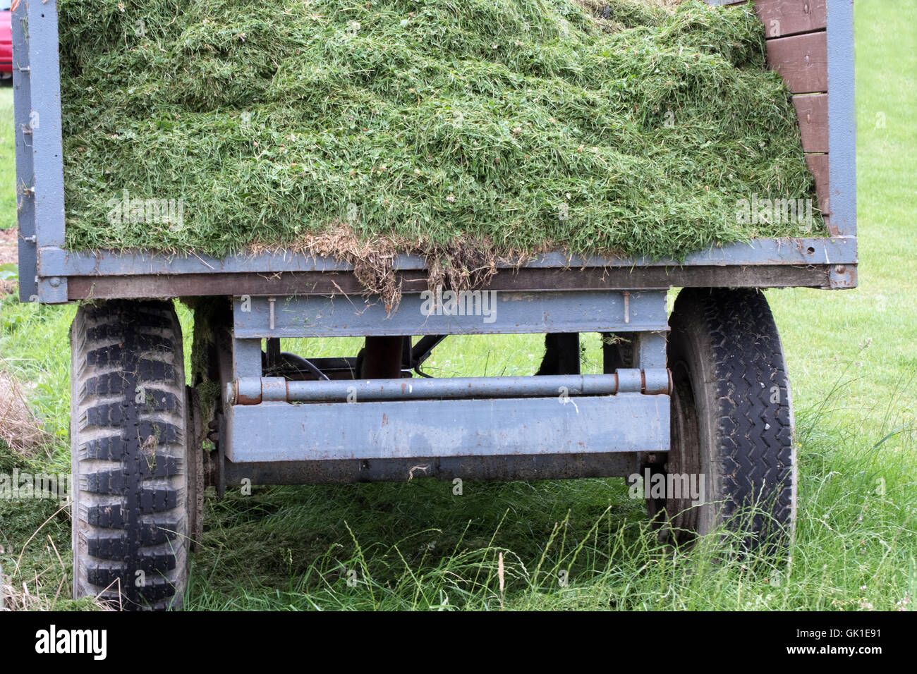 Grass cuttings in an old trailer Stock Photo - Alamy