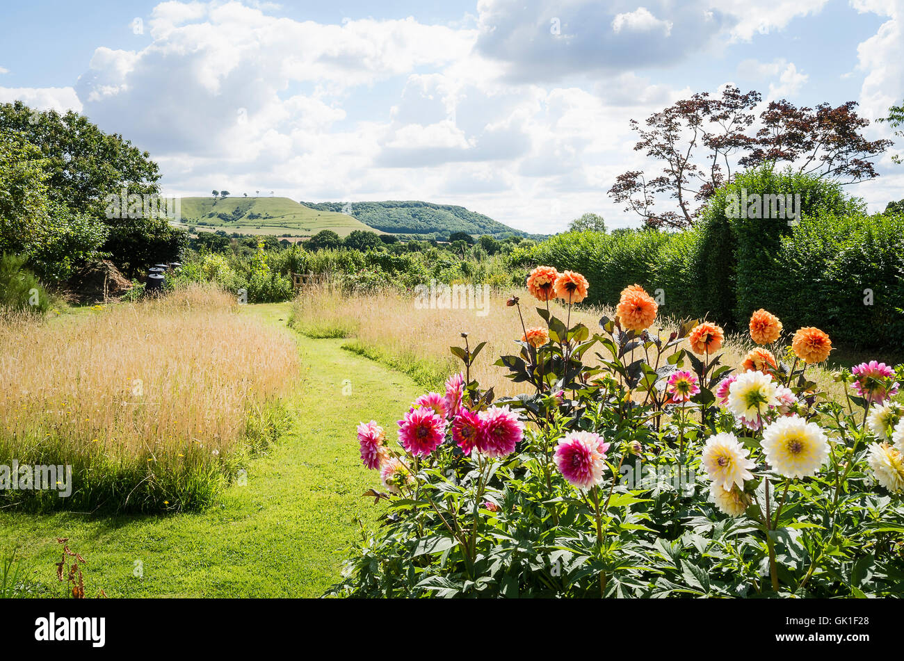 Mown grass path garden hi-res stock photography and images - Alamy