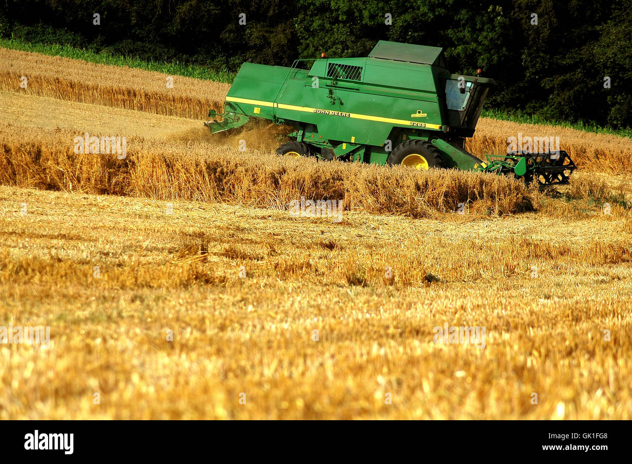 Combine harvester cutting the crop Stock Photo - Alamy