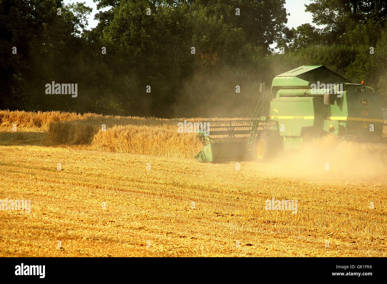 Combine harvester cutting the crop Stock Photo - Alamy