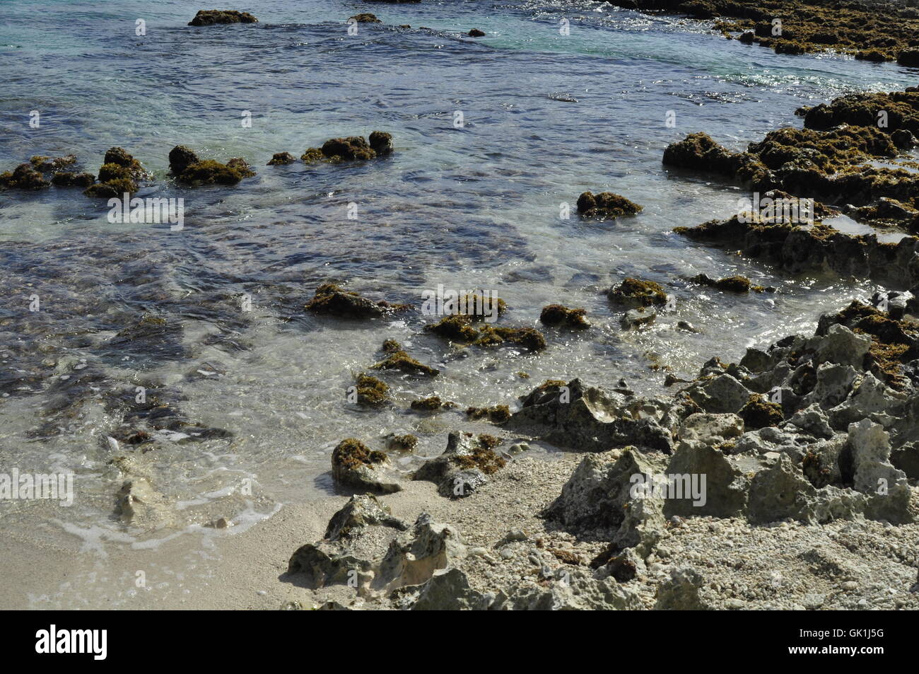 tropical beach with reef Stock Photo - Alamy