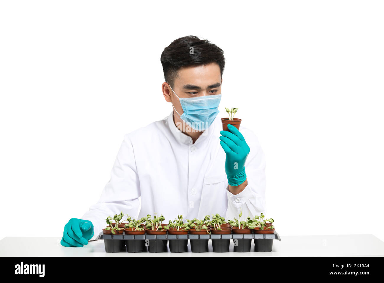 Scientists in the lab doing a science experiment Stock Photo - Alamy