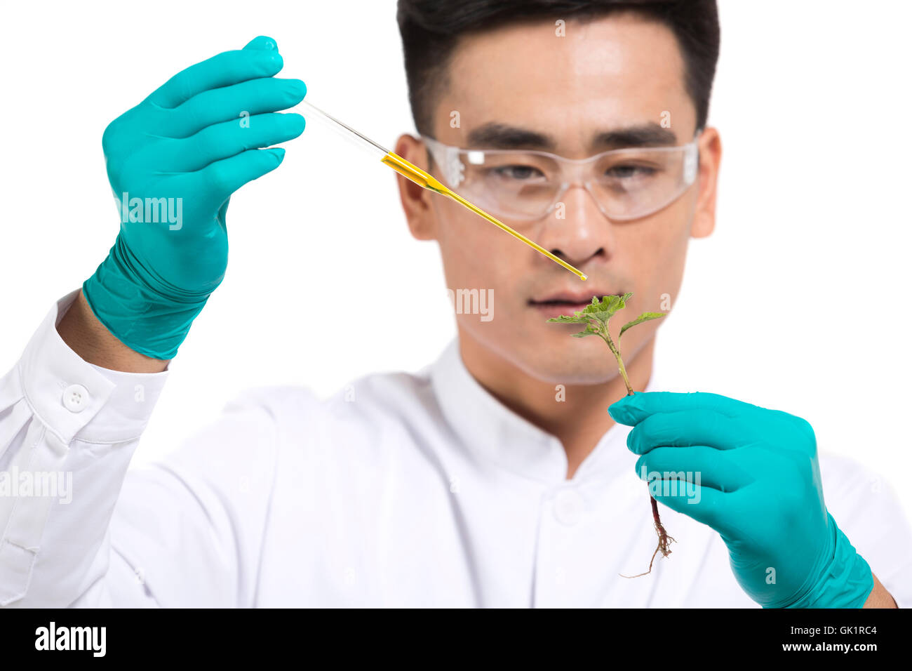 Scientists in the lab doing a science experiment Stock Photo - Alamy