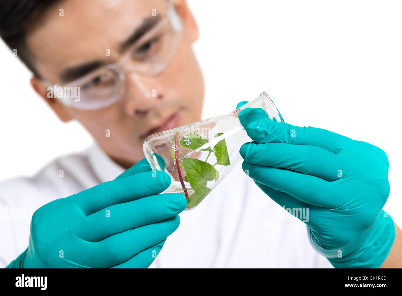 Scientists in the lab doing a science experiment Stock Photo - Alamy