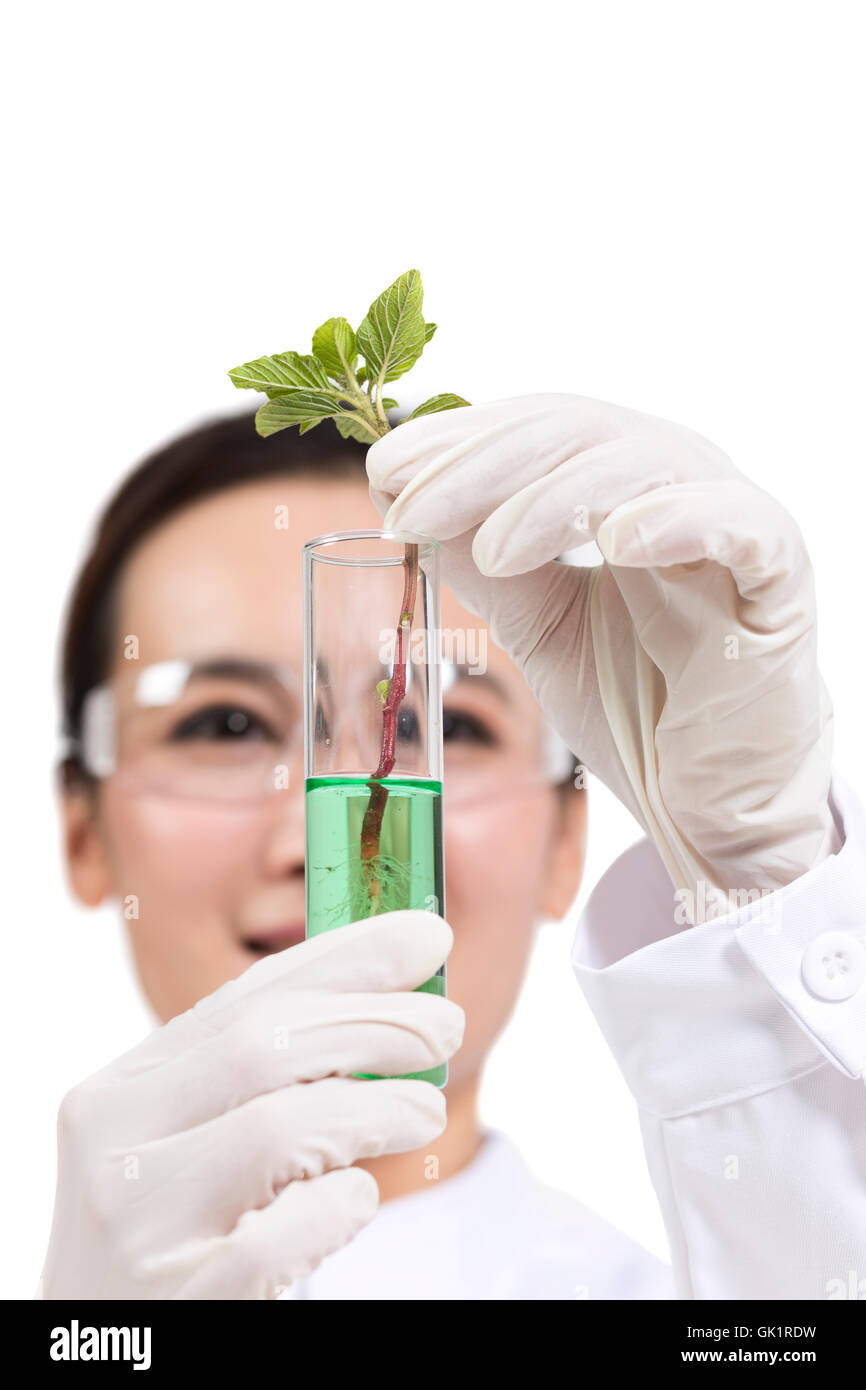 Scientists in the lab doing a science experiment Stock Photo - Alamy