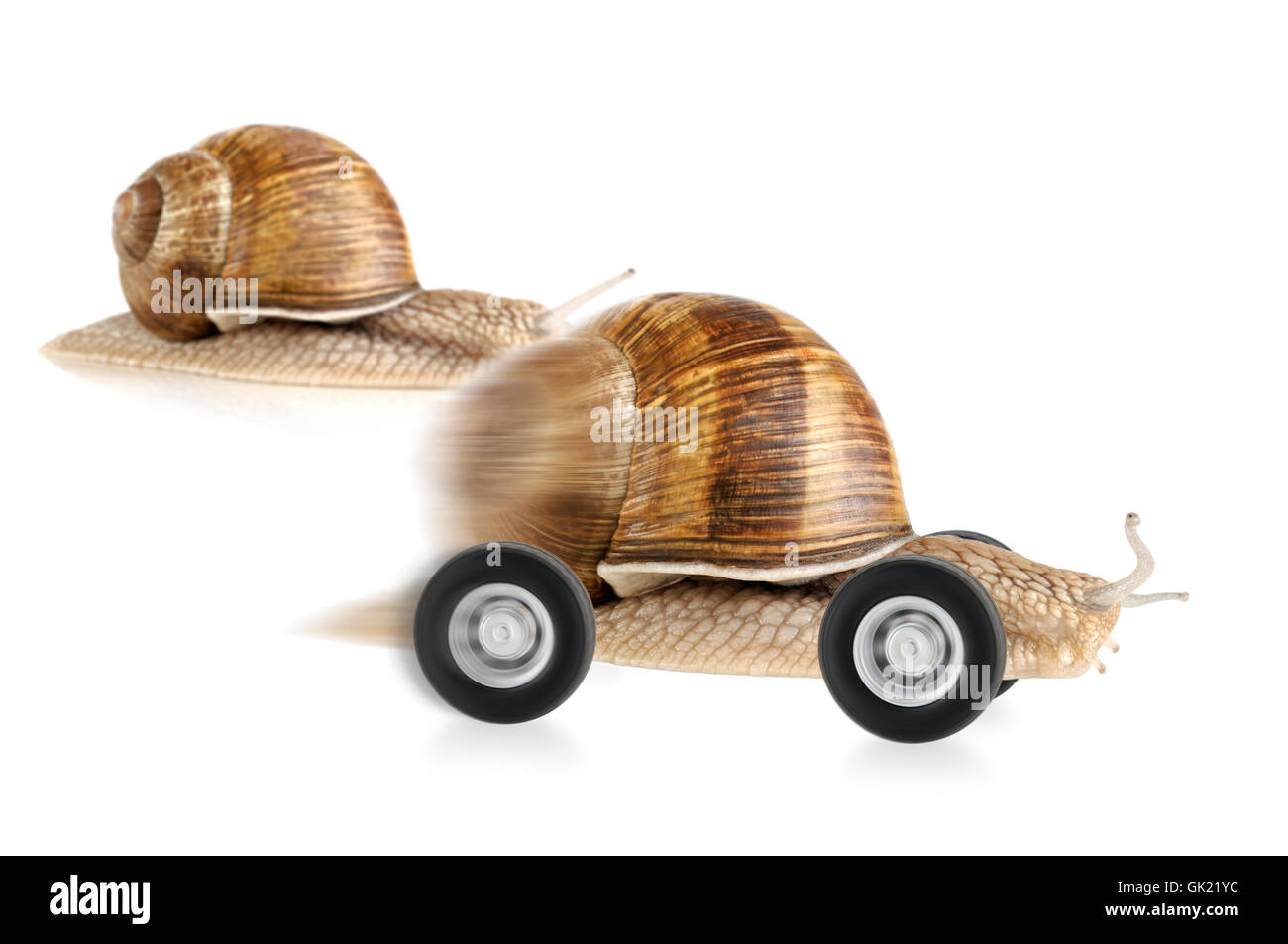 Humour hi-res stock photography and images - Alamy