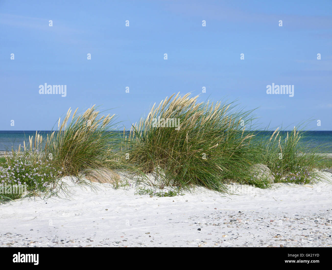 water baltic sea salt water Stock Photo - Alamy