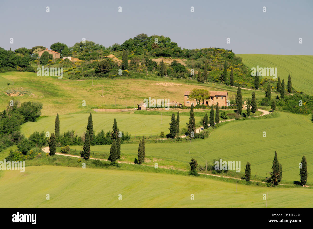 hill field tuscany Stock Photo - Alamy