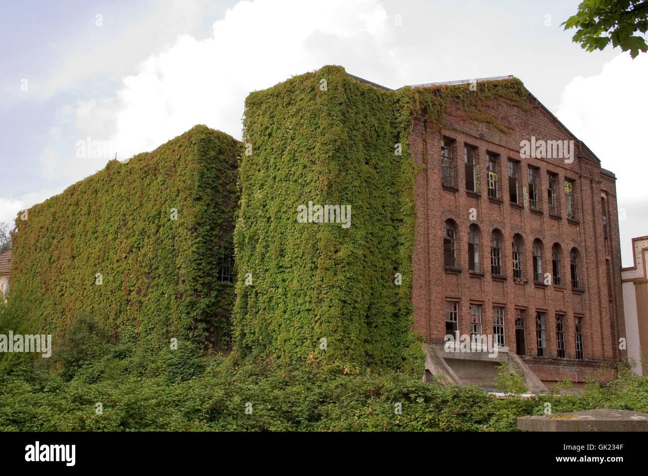nature brings back building Stock Photo - Alamy