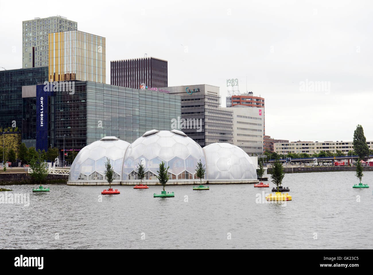 Floating forest rotterdam hi-res stock photography and images - Alamy