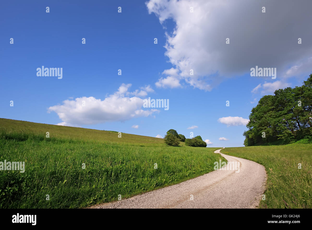 tortuous path way Stock Photo - Alamy