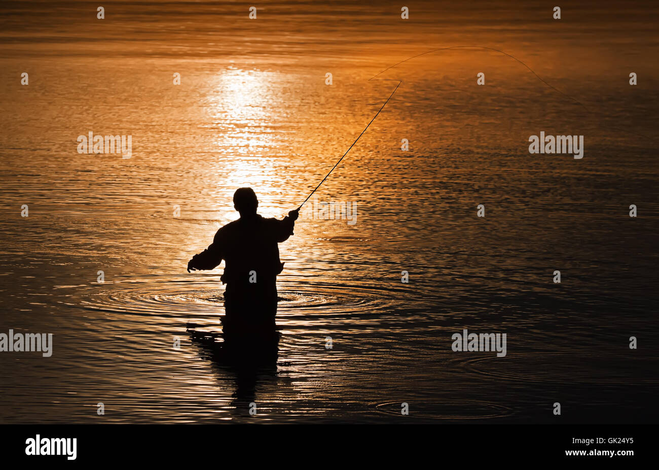 waves angle fish Stock Photo - Alamy