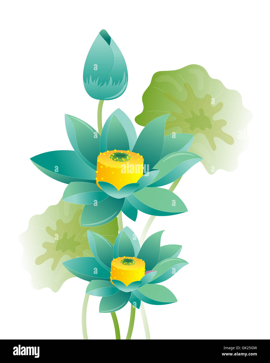 Lotus shoot hi-res stock photography and images - Alamy