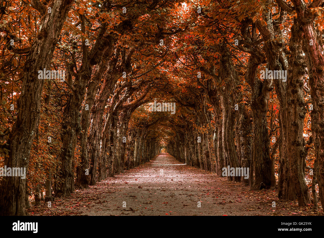 Tunnelblick hi-res stock photography and images - Alamy