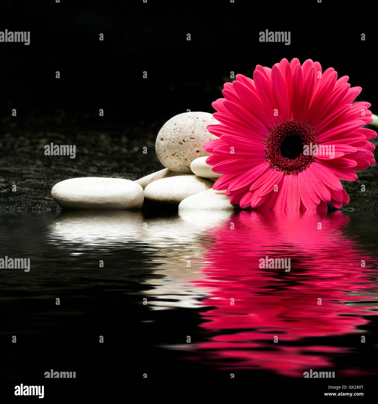 stone flower plant Stock Photo - Alamy