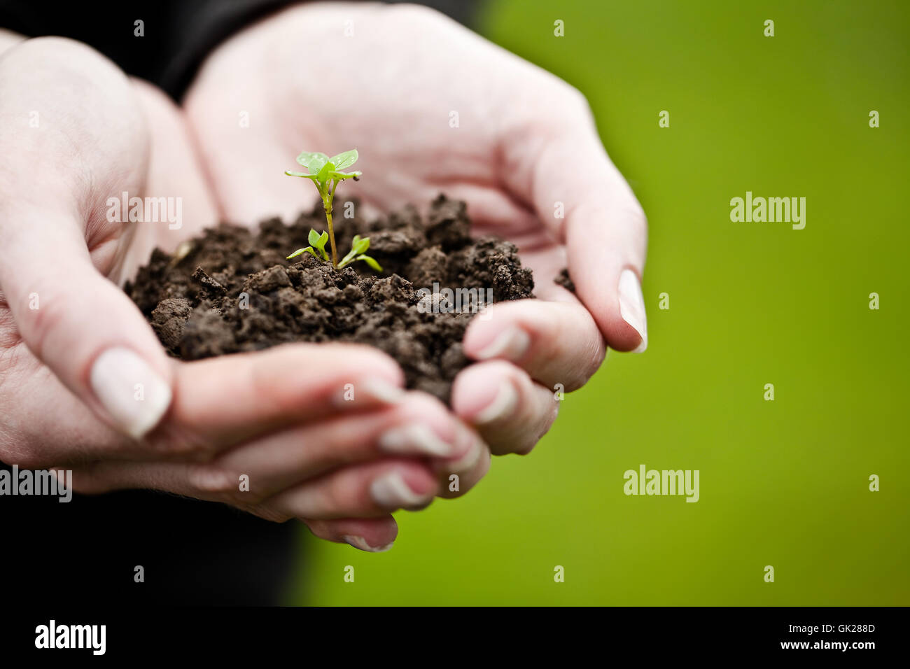 possession holding young Stock Photo - Alamy