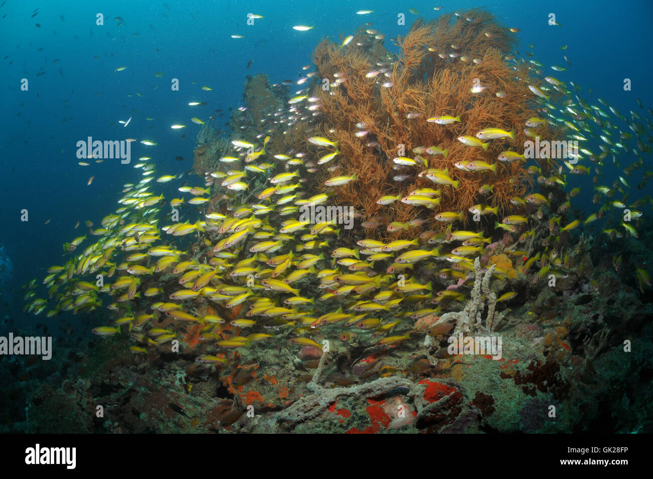 Irako maru hi-res stock photography and images - Alamy