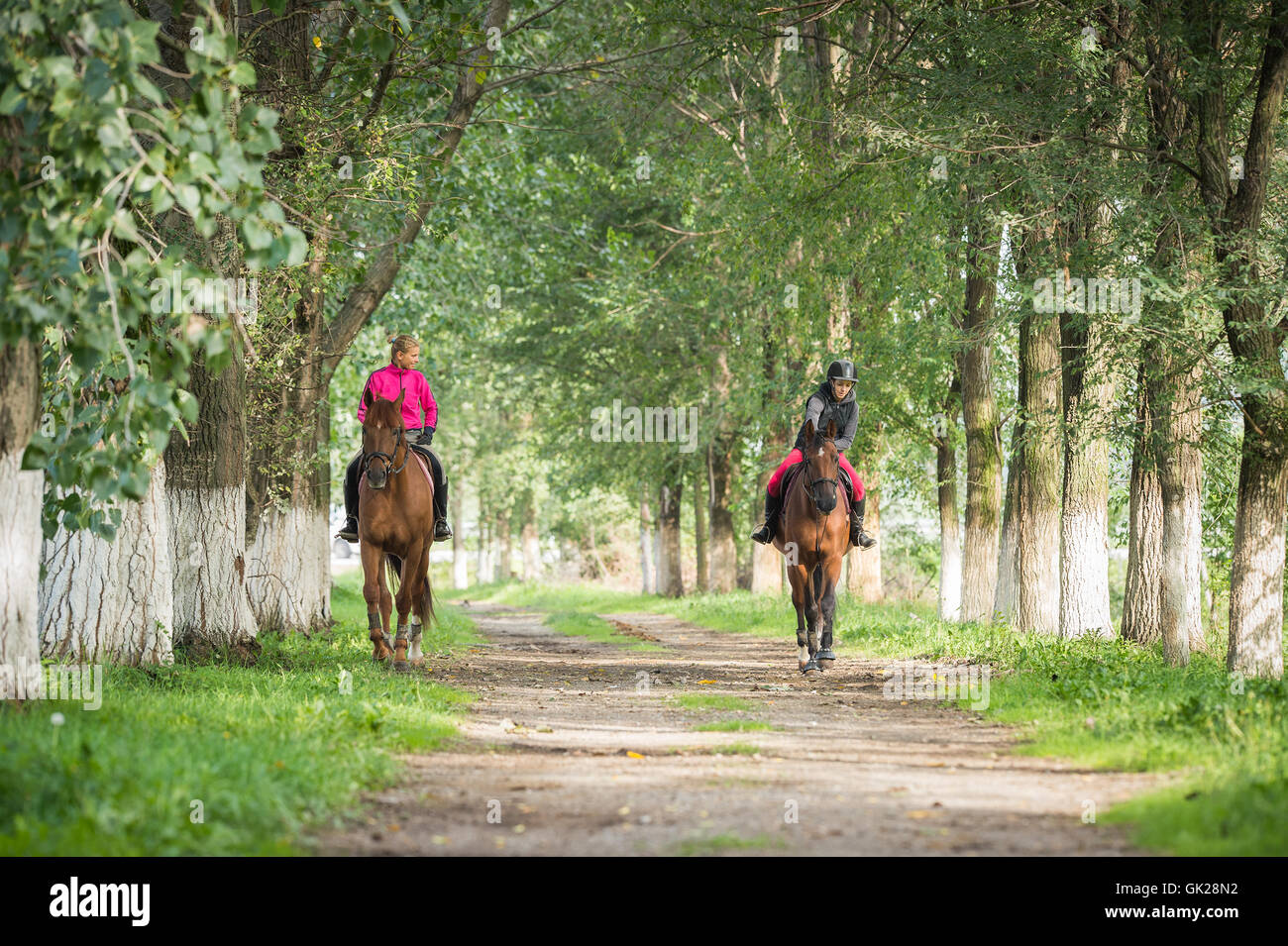 Girls on a horse ride Stock Photo - Alamy
