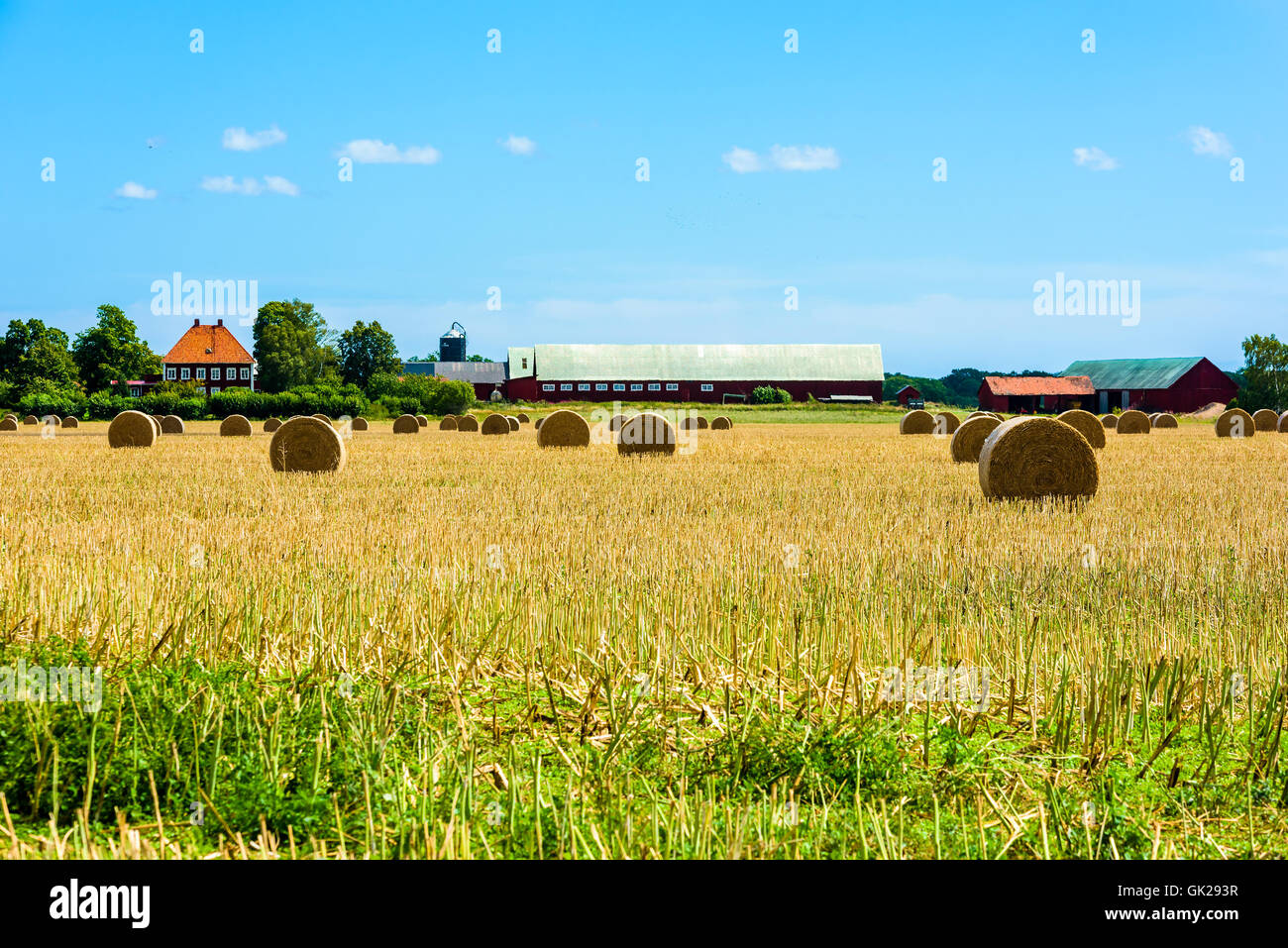 Straw rol hi-res stock photography and images - Alamy