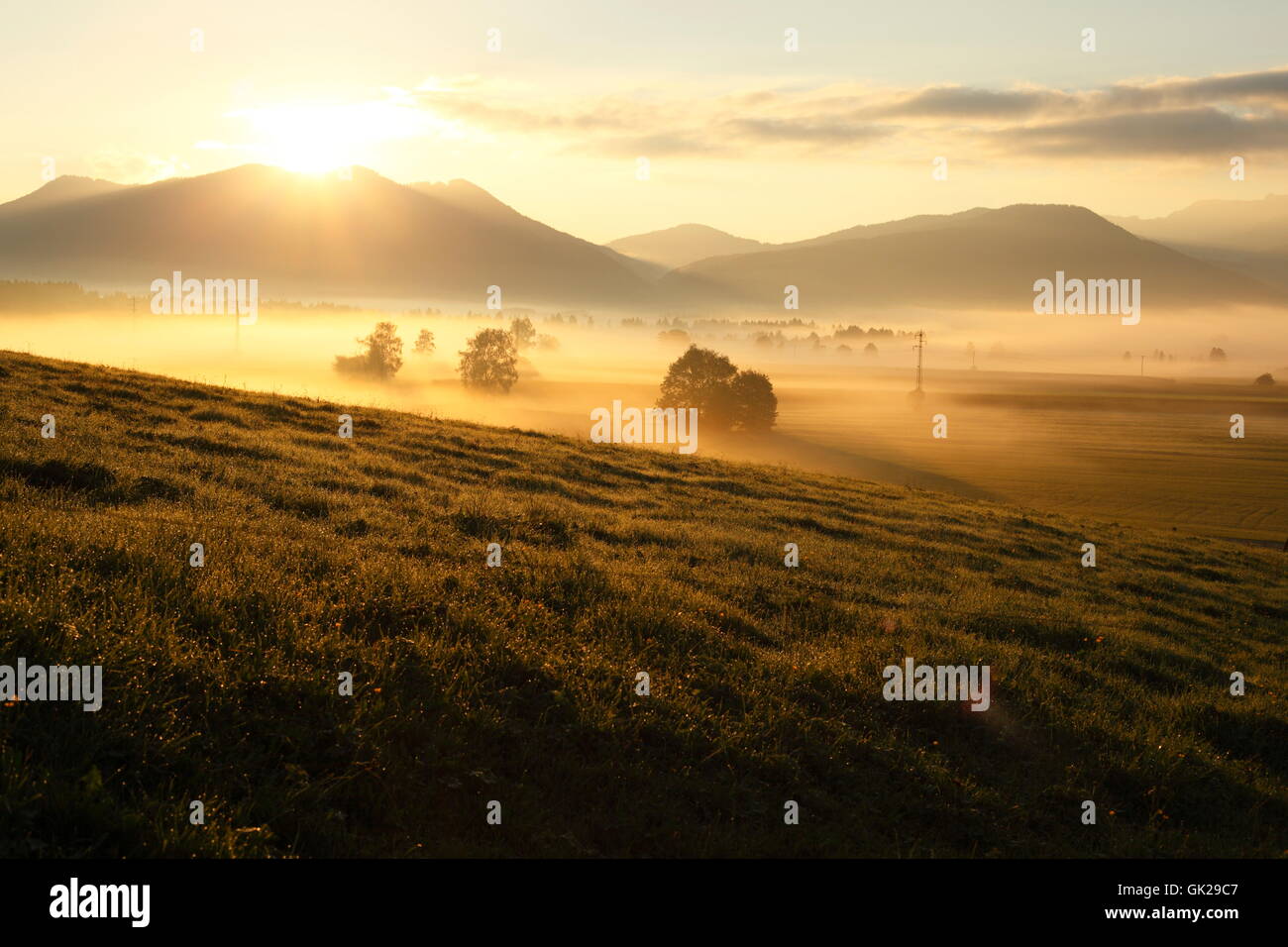 Morning ramble hi-res stock photography and images - Alamy