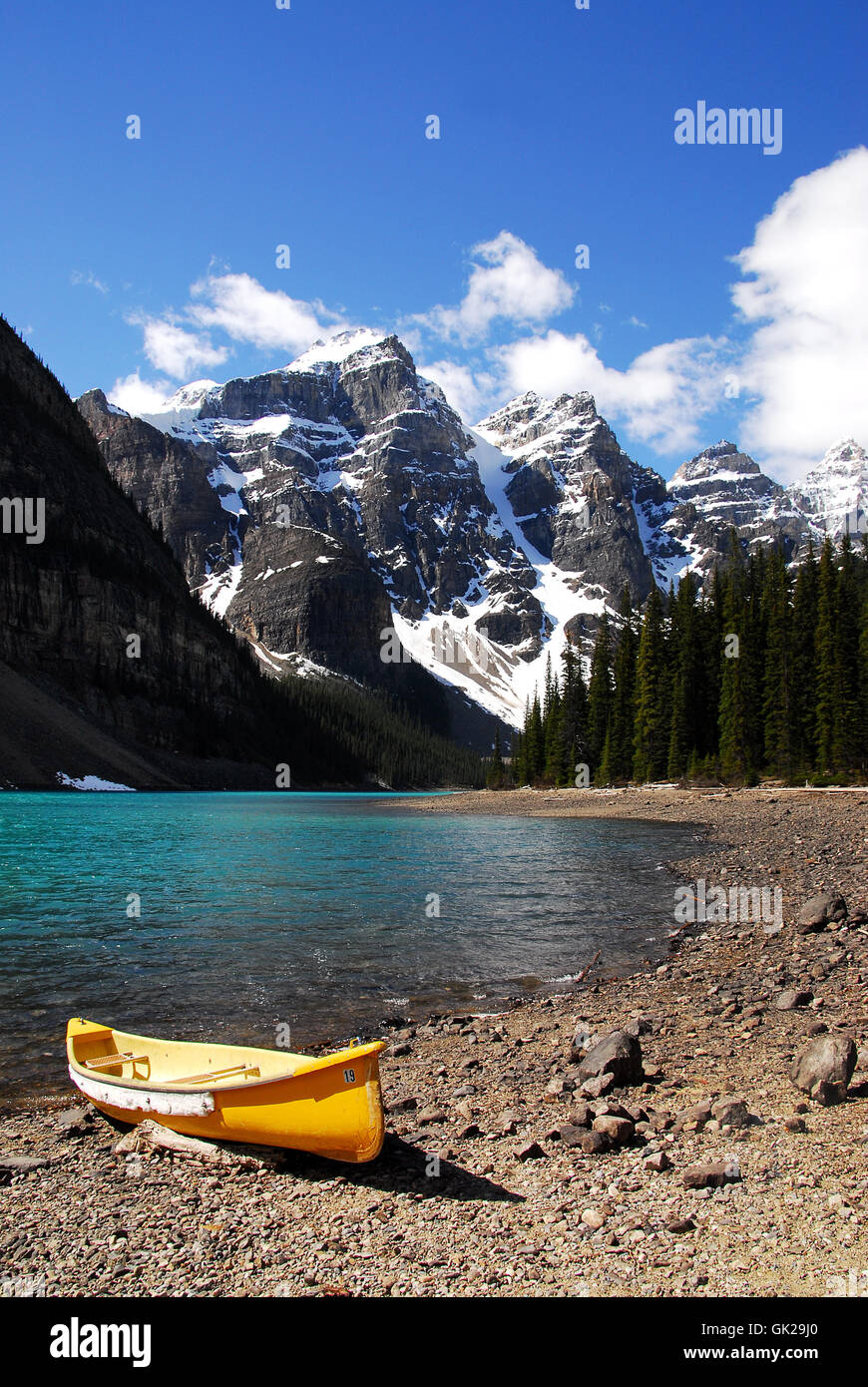 Canada tree hi-res stock photography and images - Alamy