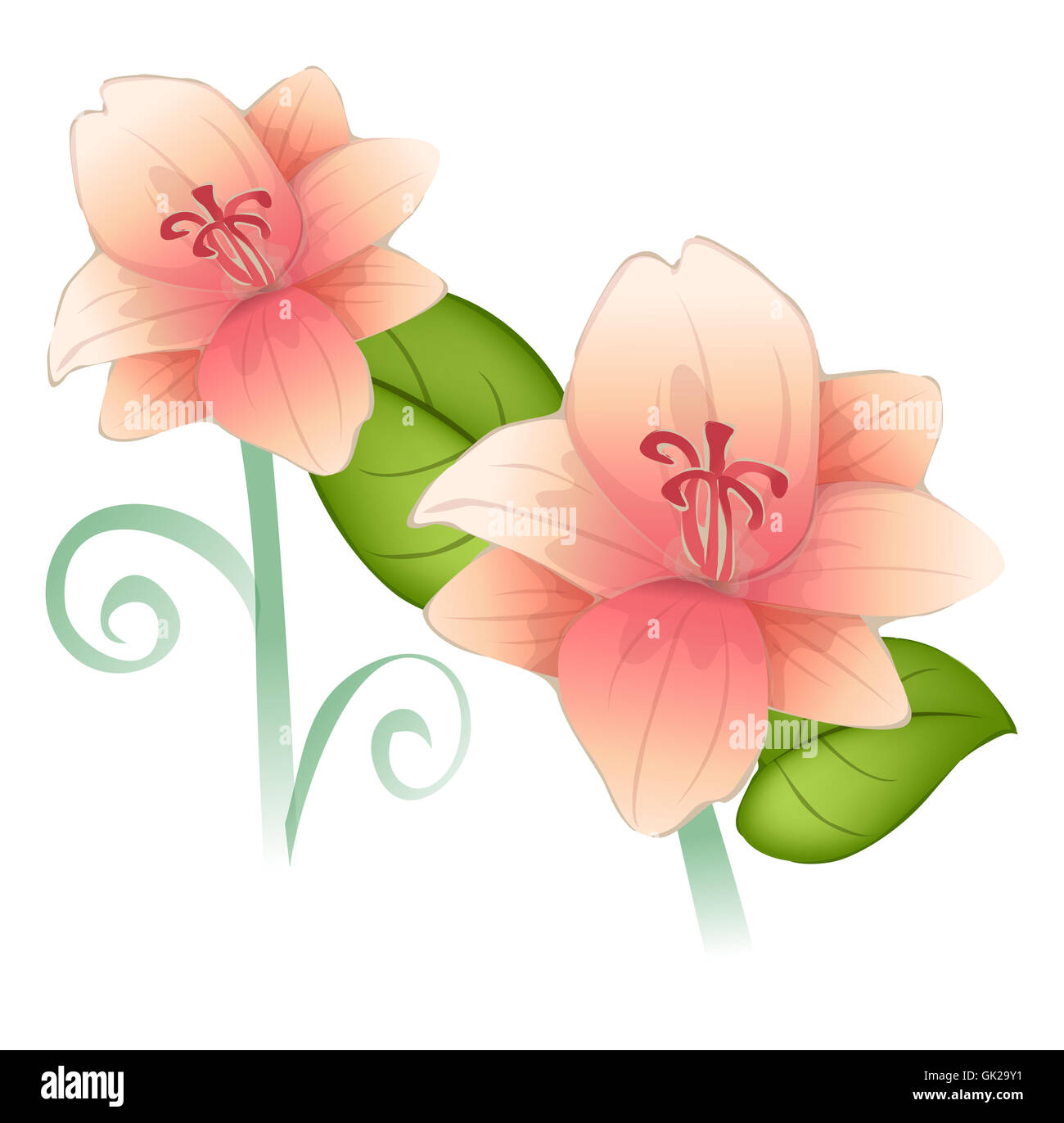 Cartoon orchid plant hi-res stock photography and images - Alamy