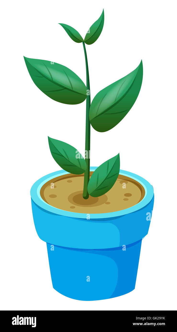 Ground and lawn Cut Out Stock Images & Pictures - Alamy