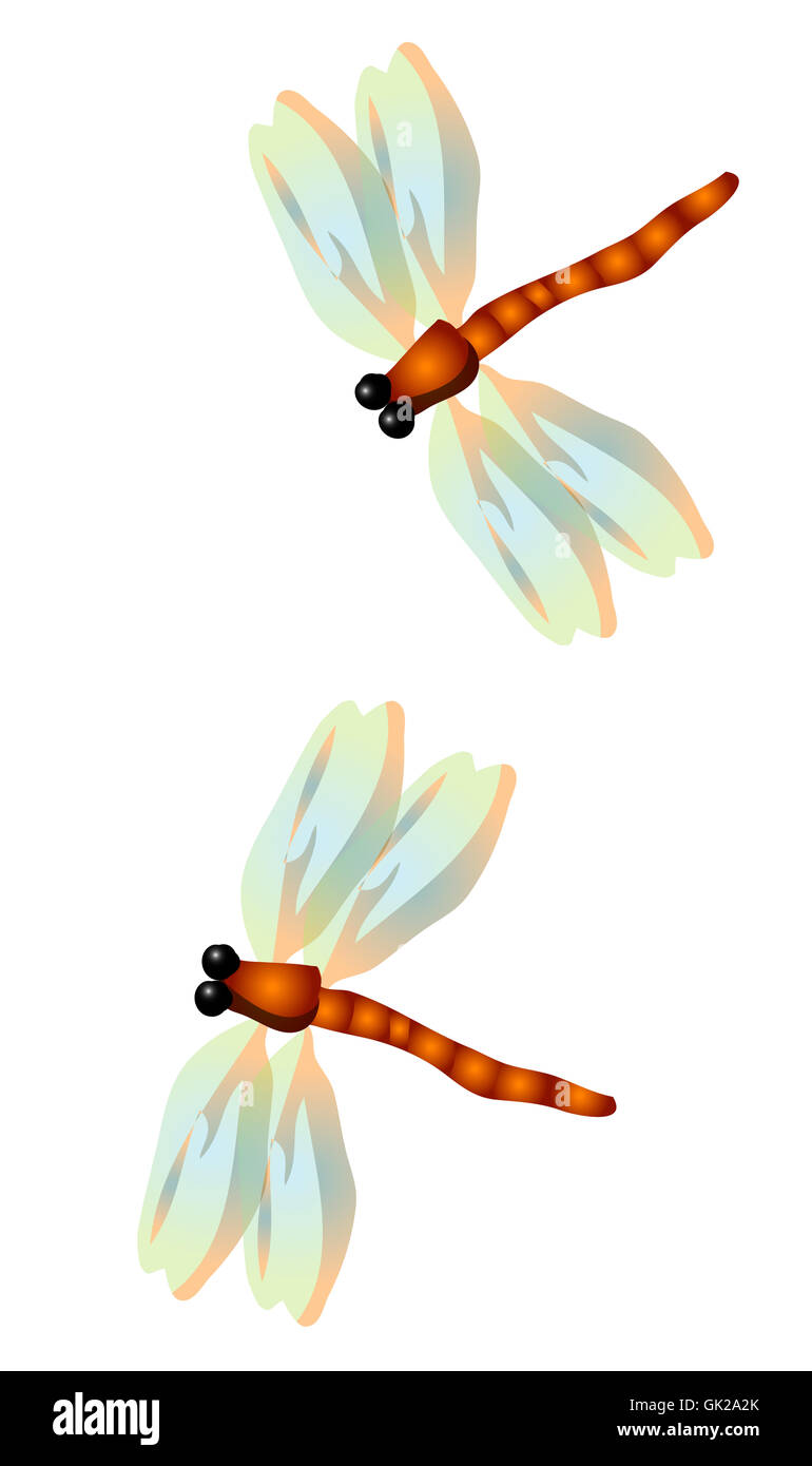Dragonfly cartoon hi-res stock photography and images - Alamy