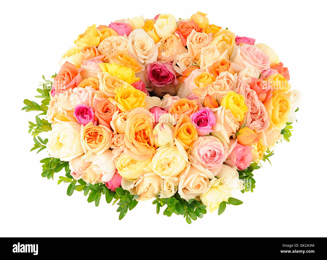 isolated flower plant Stock Photo - Alamy