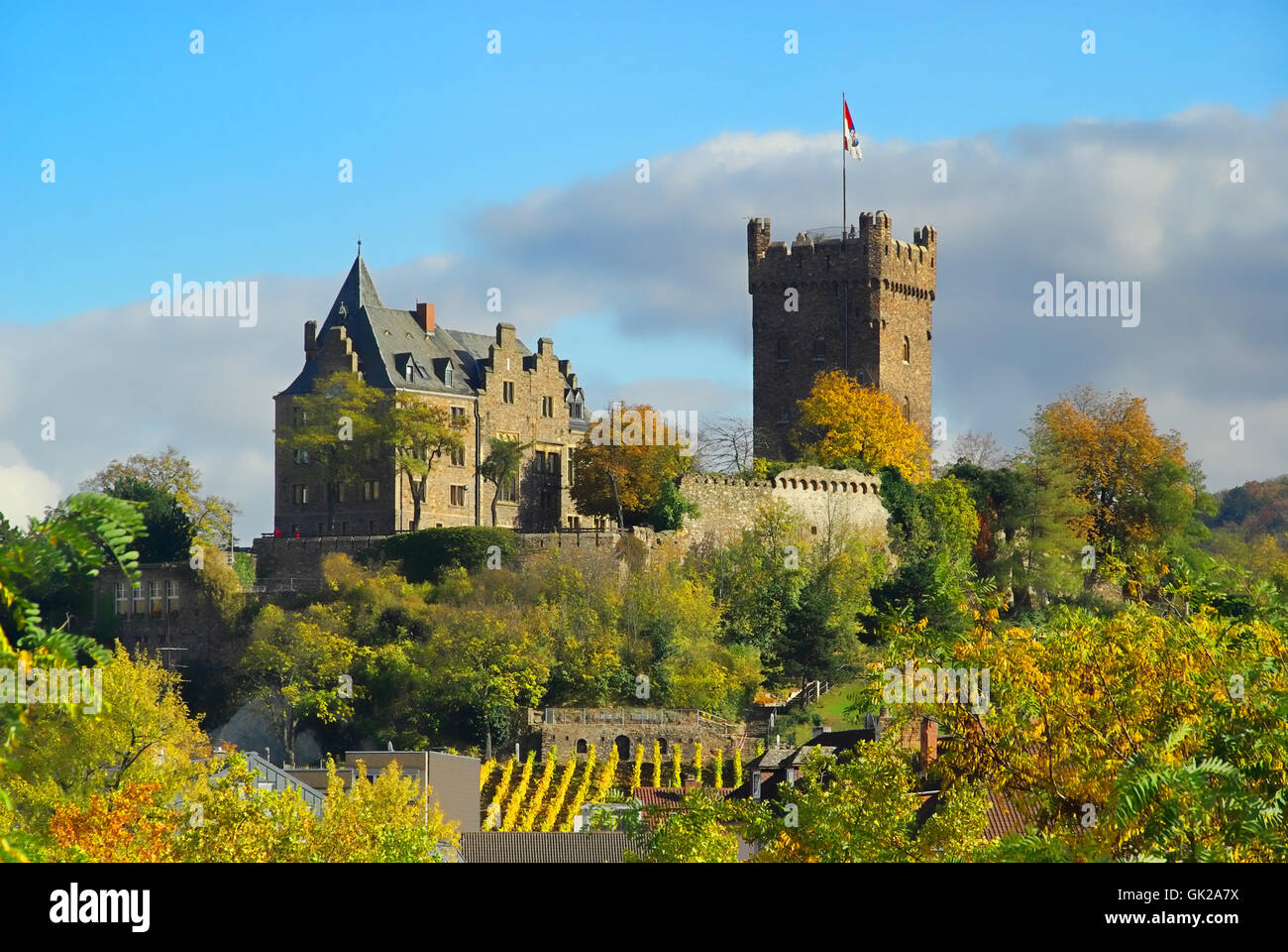 tower rhine vineyard Stock Photo - Alamy