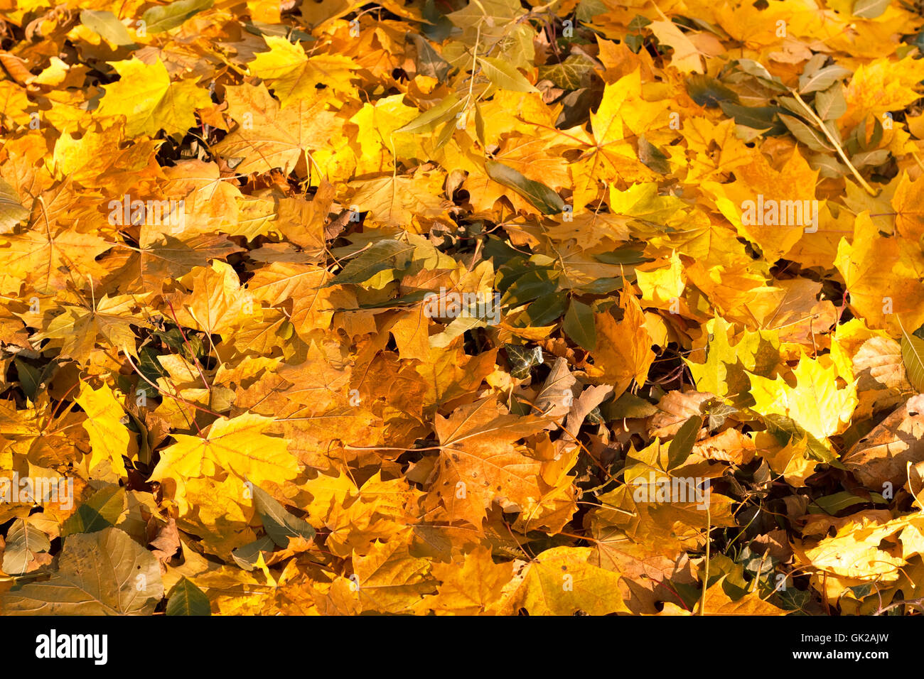 ground soil earth Stock Photo - Alamy