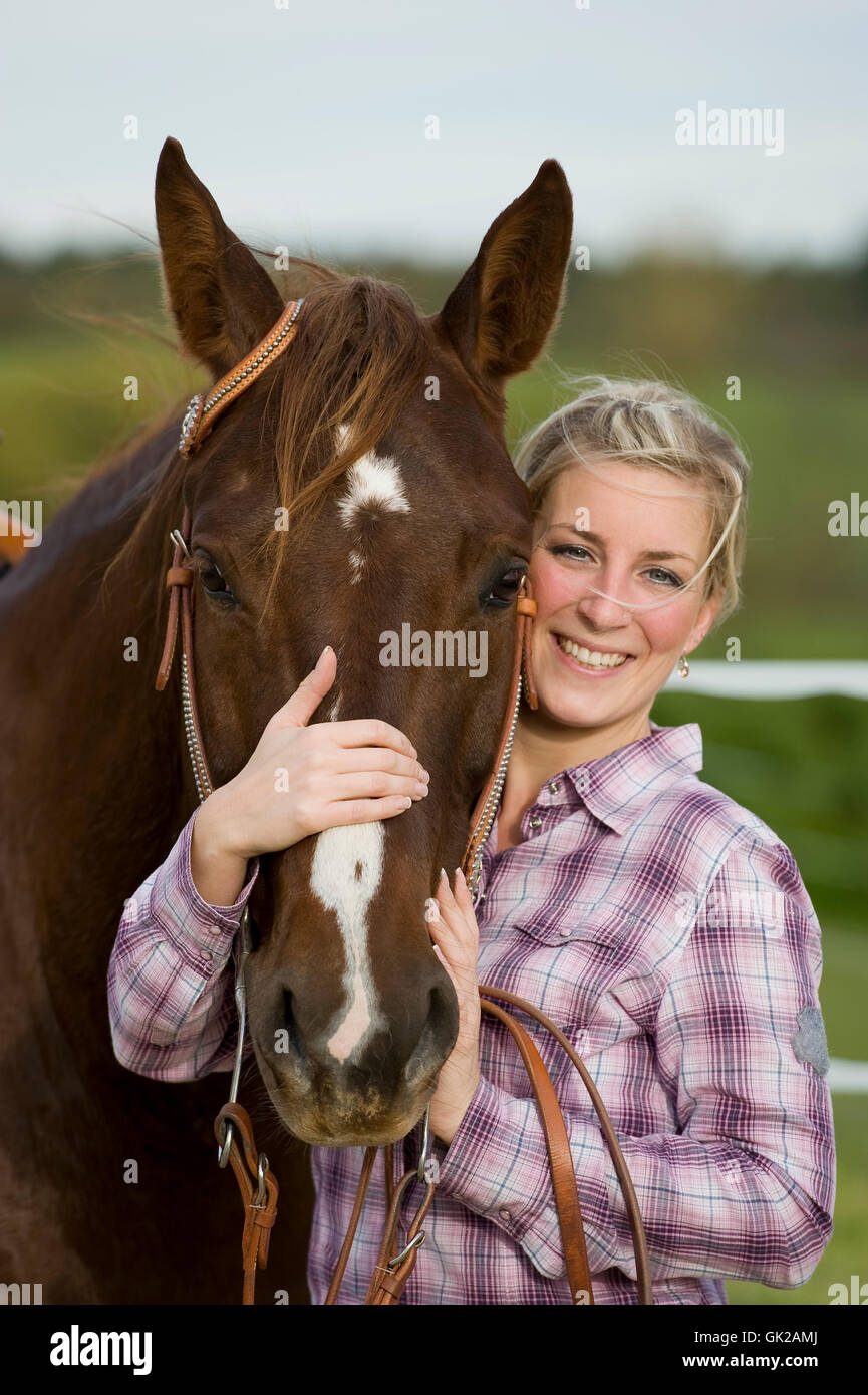 Westernpferd hi-res stock photography and images - Alamy
