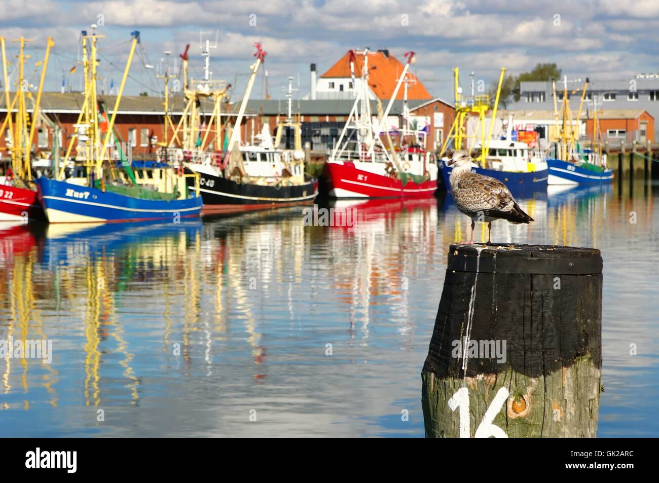 Hafen busum hi-res stock photography and images - Alamy