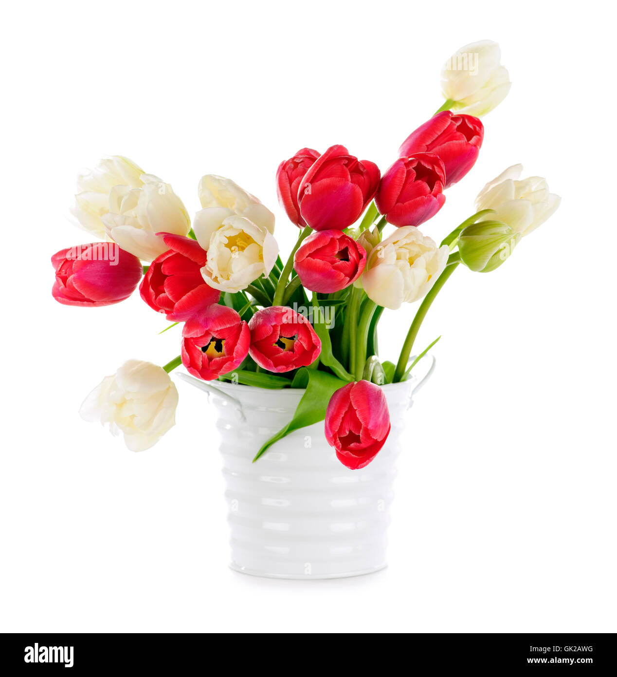 Container plants flowers Cut Out Stock Images & Pictures - Alamy