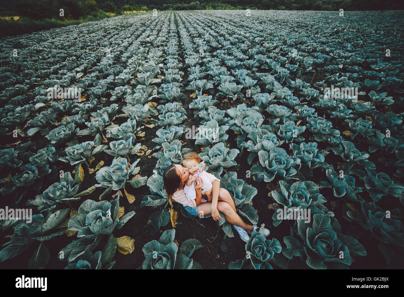 Mother and daughter on the field with cabbage Stock Photo - Alamy