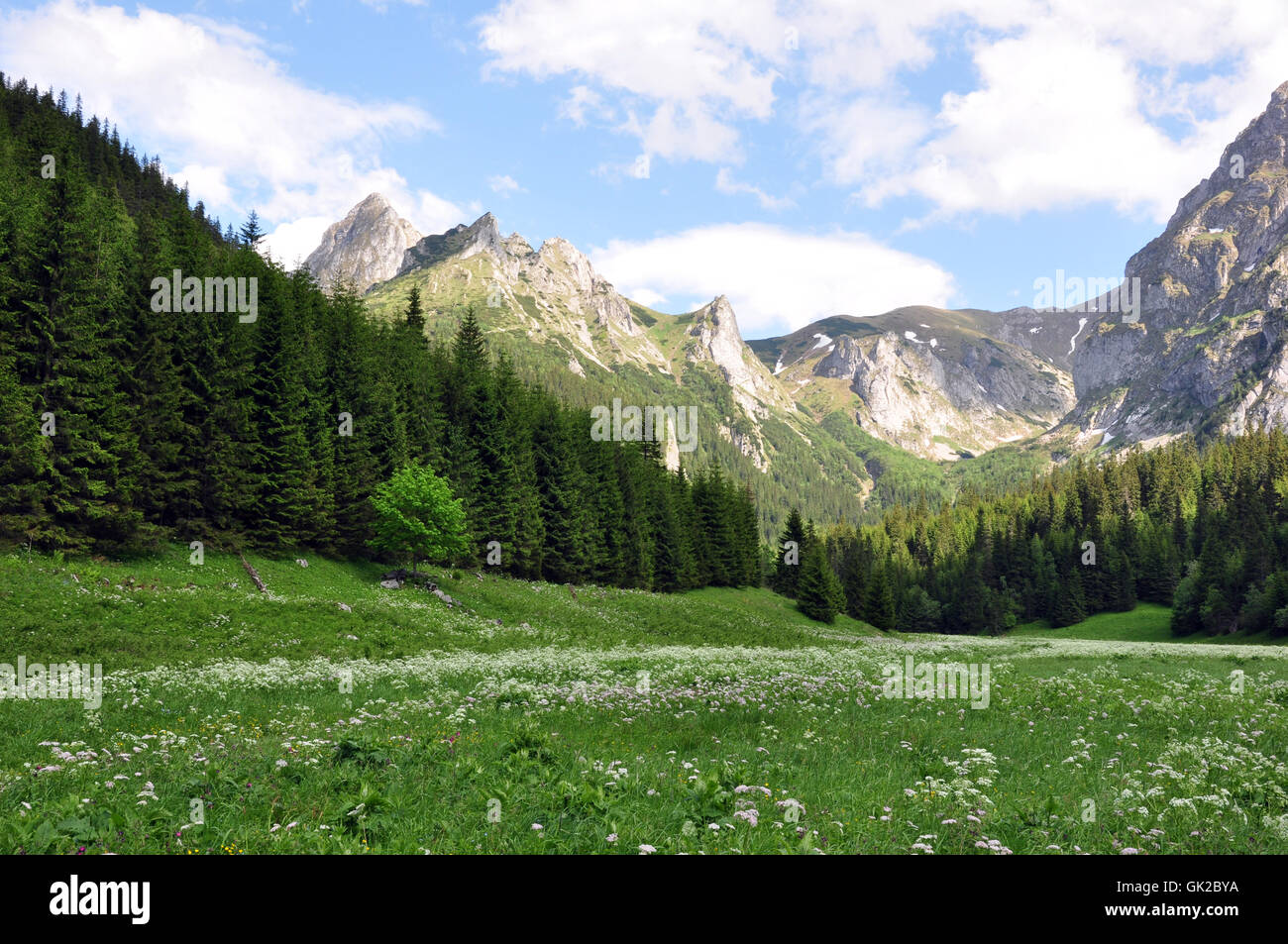 hill mountains park Stock Photo - Alamy
