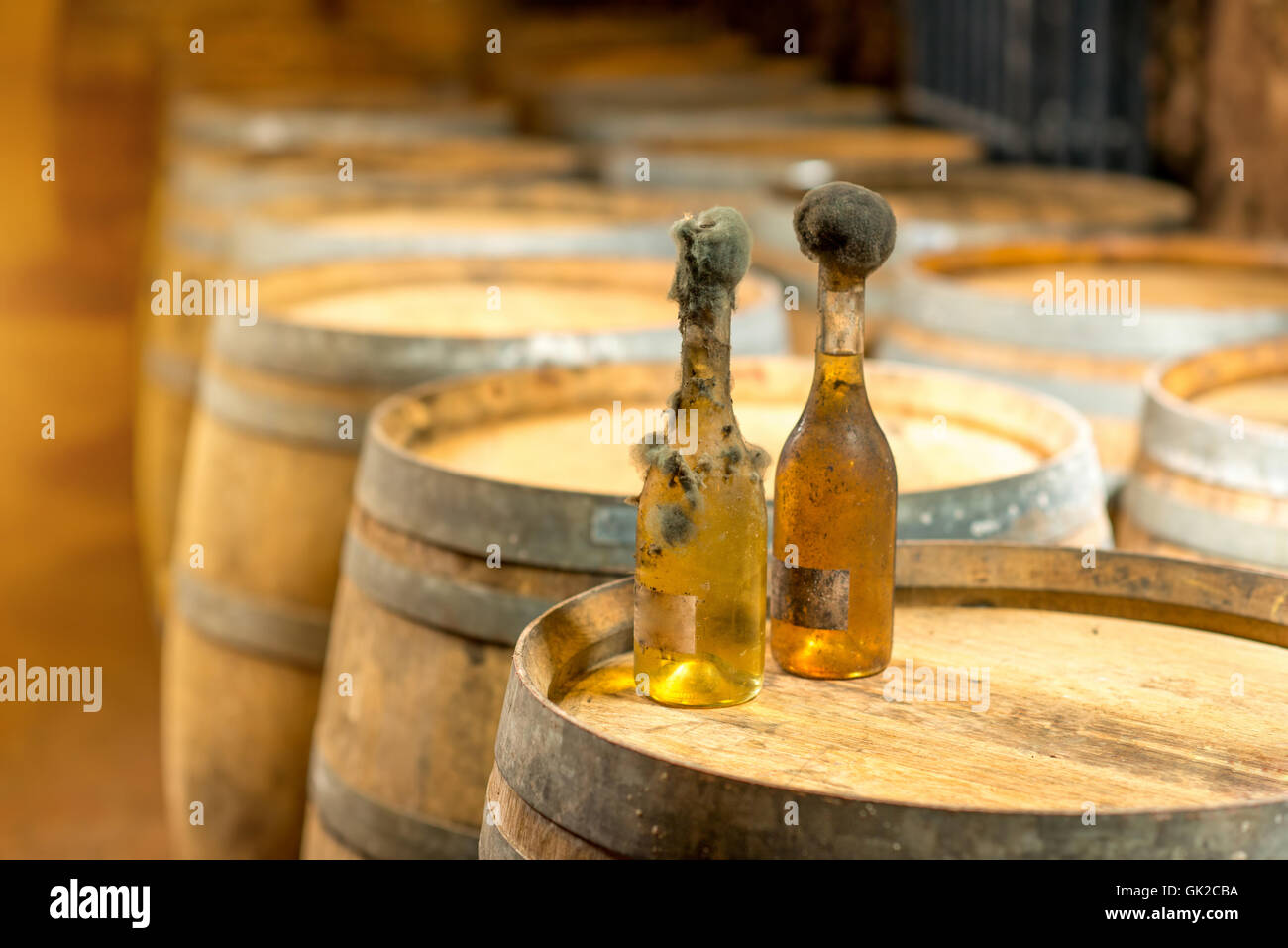 Wine bottles black mold in cellar Stock Photo - Alamy