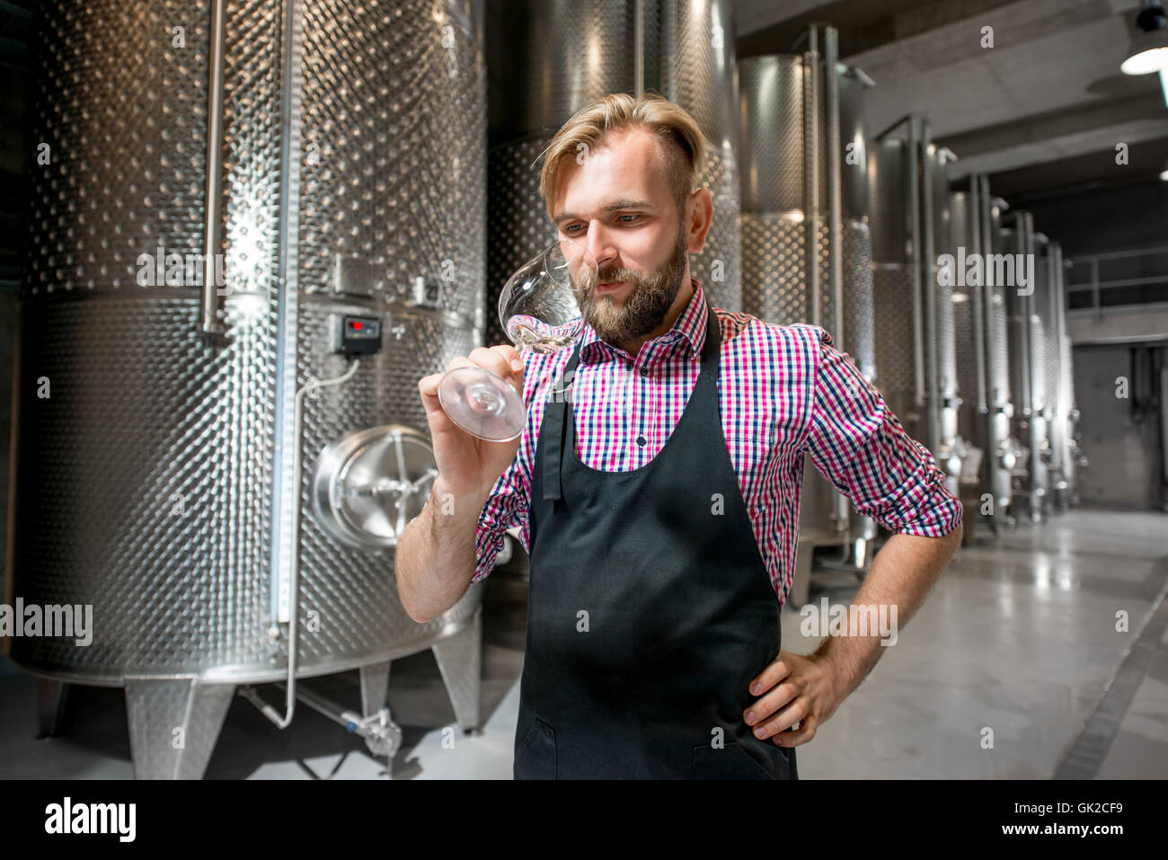 Wine maker at the manufacture Stock Photo - Alamy