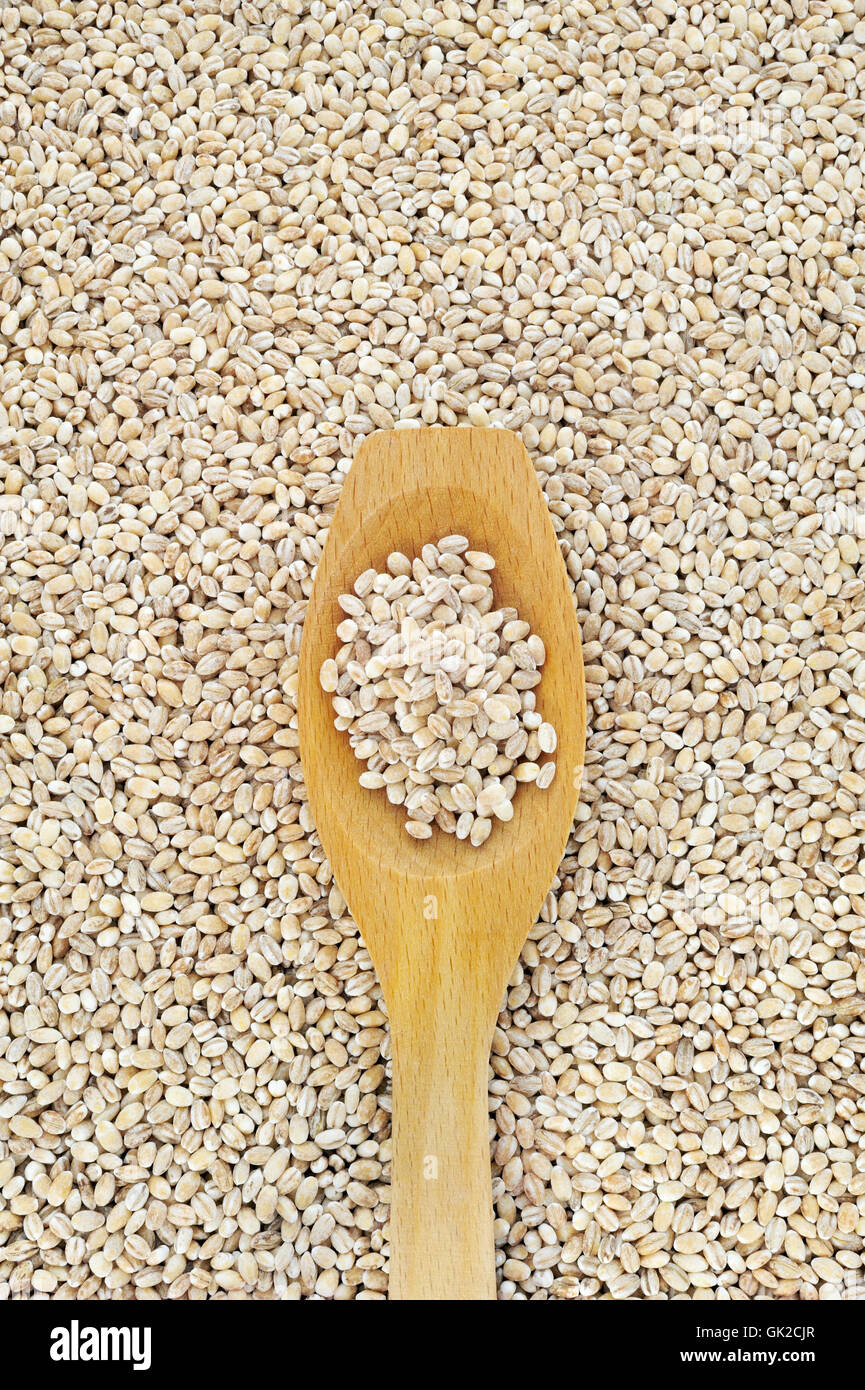 wood raw corn Stock Photo - Alamy