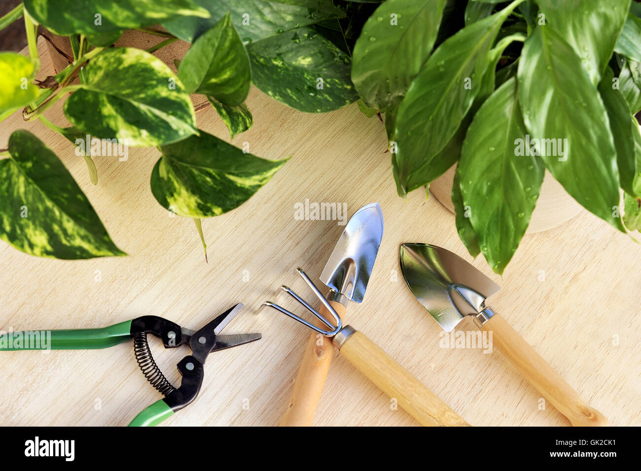 tool tools garden Stock Photo - Alamy