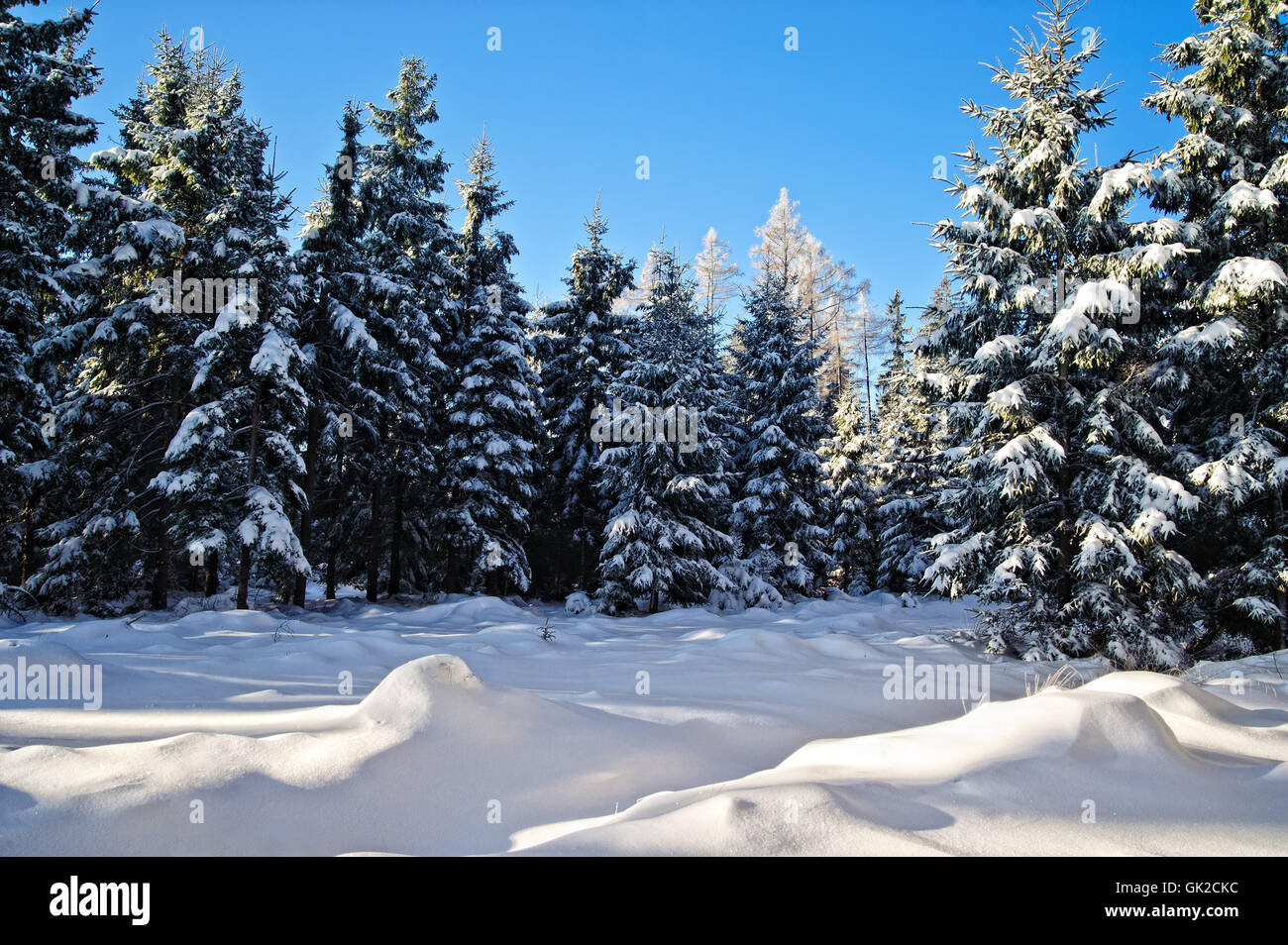 blue winter cold Stock Photo - Alamy