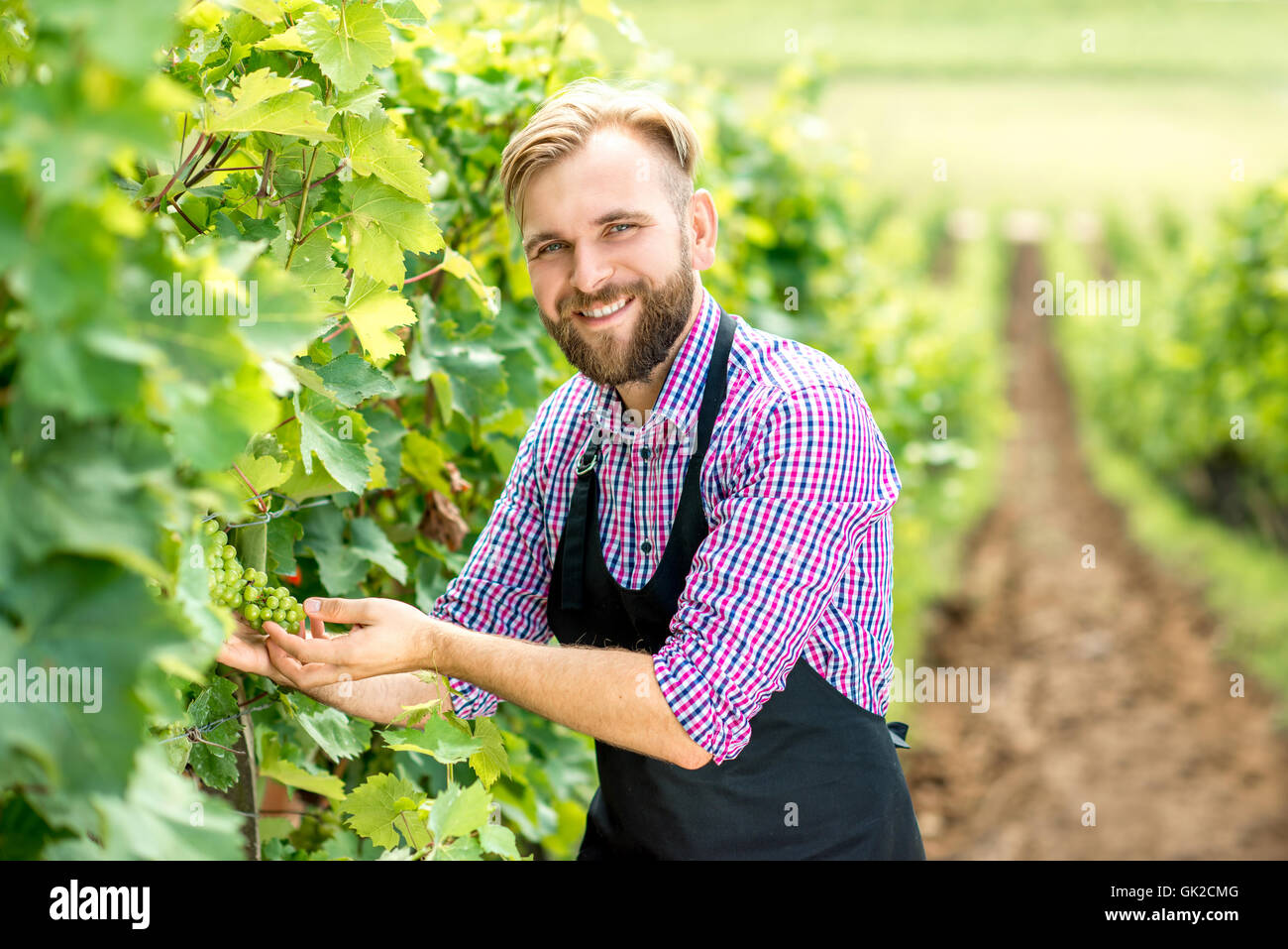 Winery worker hi-res stock photography and images - Alamy