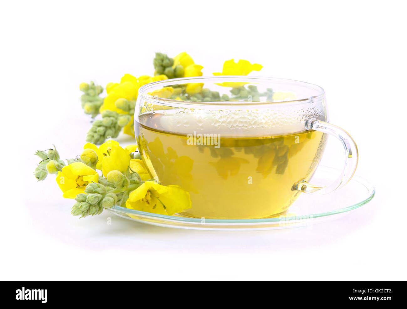Mullein tea hi-res stock photography and images - Alamy