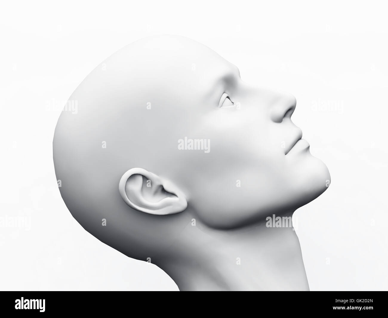 white male head - 23 Stock Photo - Alamy