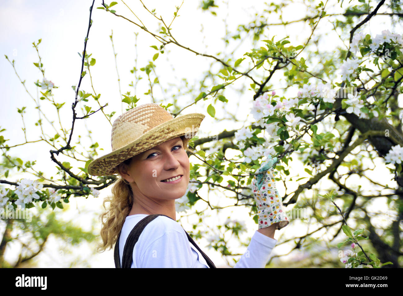 woman tree trees Stock Photo - Alamy